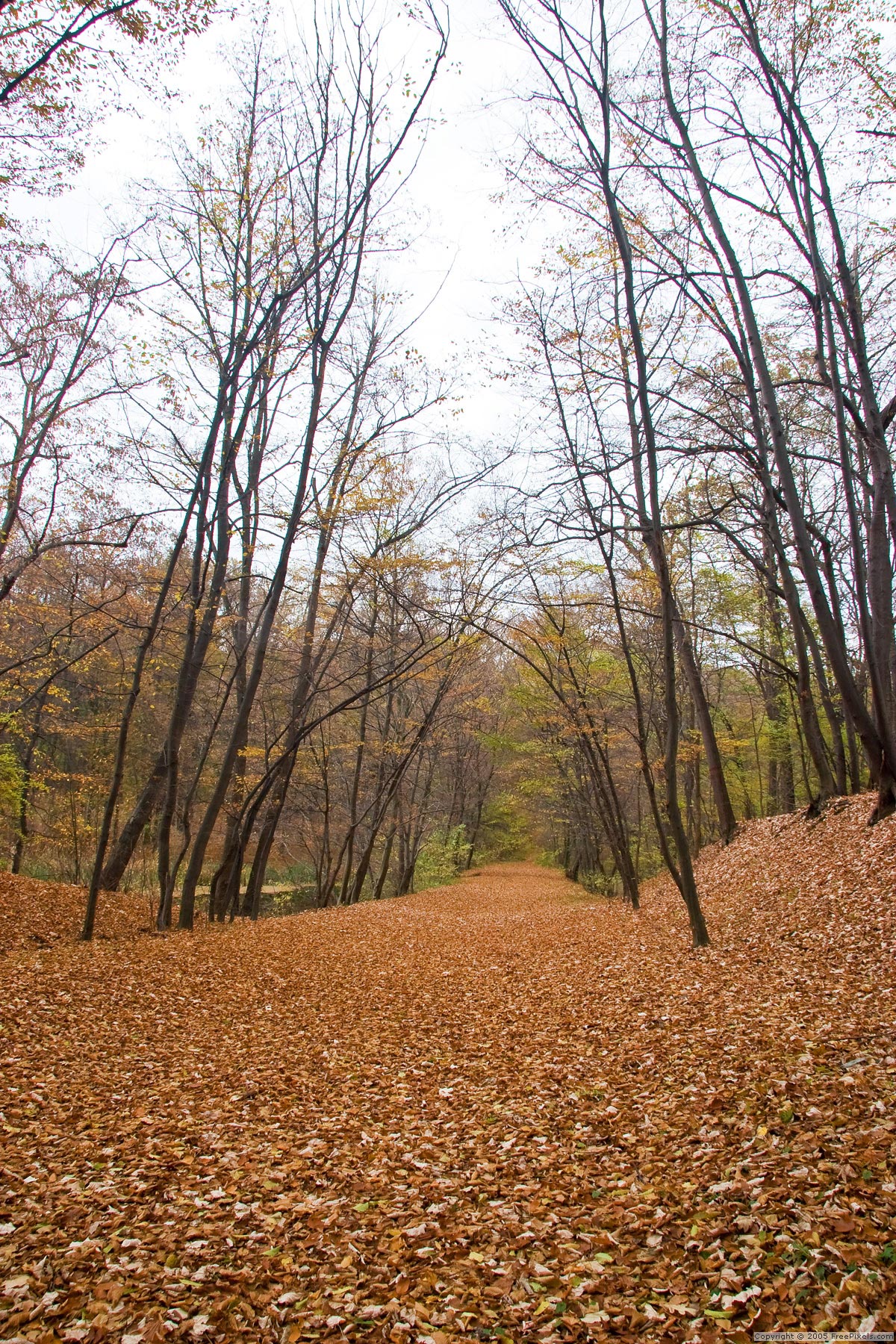 God has created Landscapes